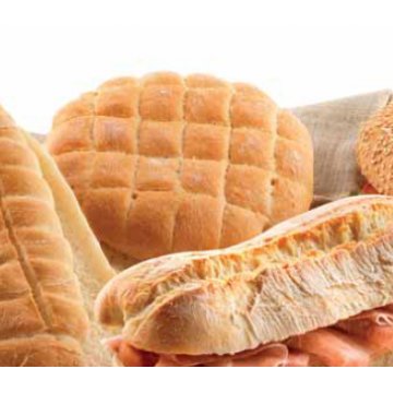 Pane Tartaruga | Worldwide